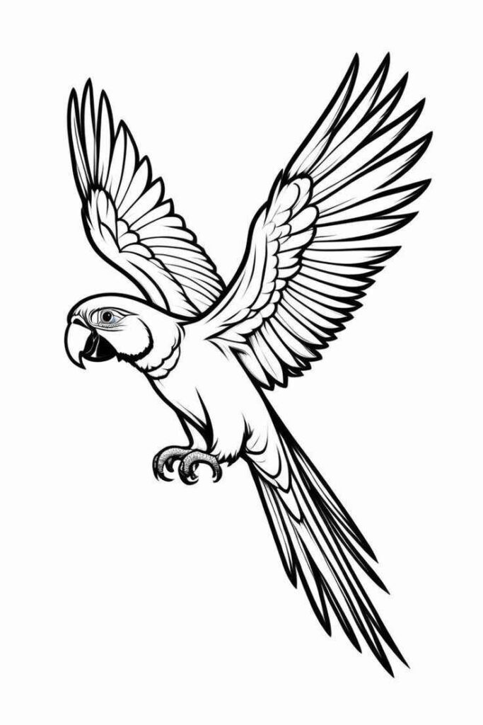 Desenhos de Arara para Imprimir e Colorir