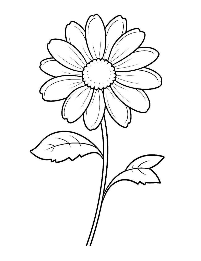 Desenhos de Margarida para Imprimir e Colorir