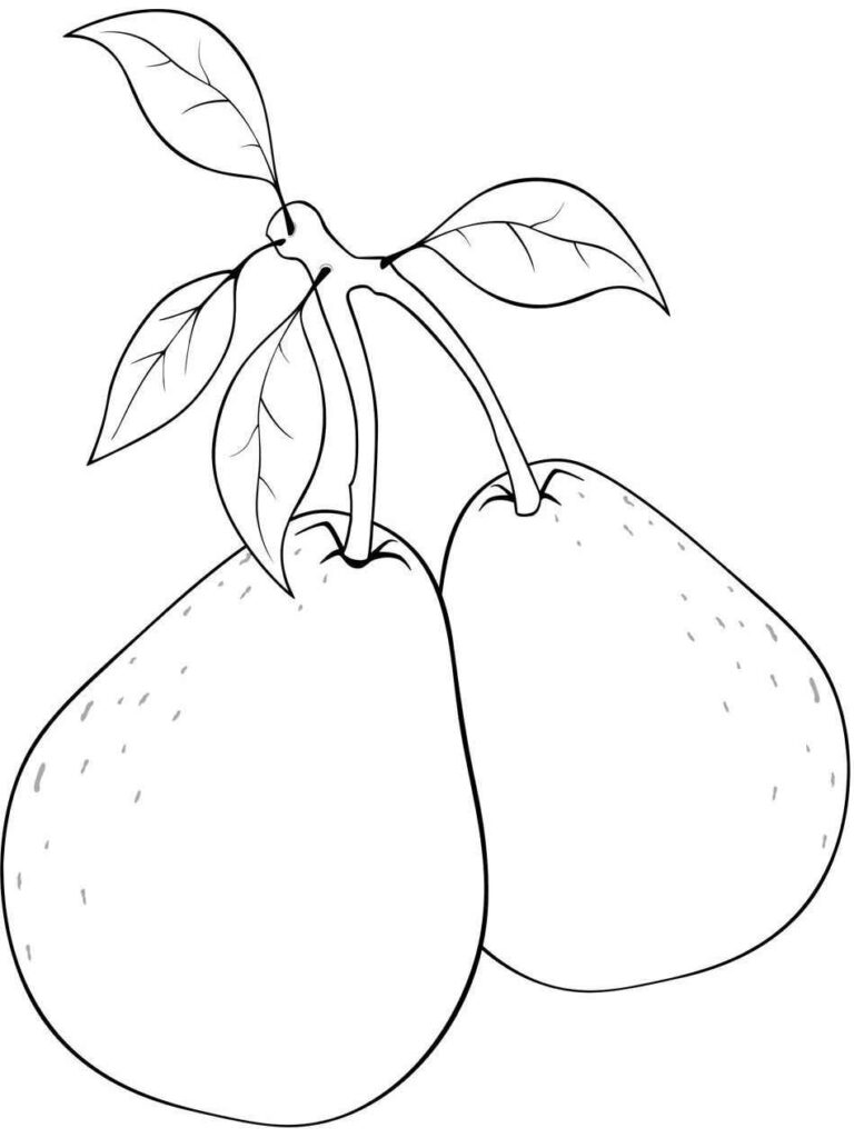 Desenhos de Pera para Imprimir e Colorir