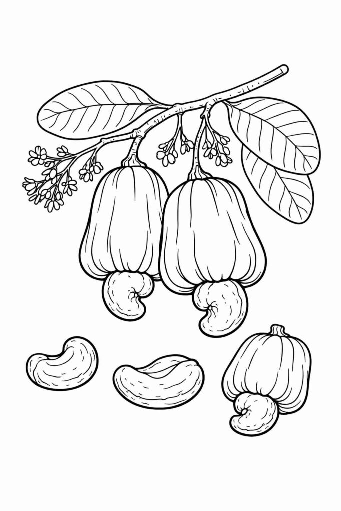 Desenhos de Caju para Imprimir e Colorir